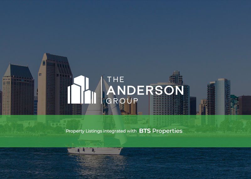 The Anderson Group - BTS Brands